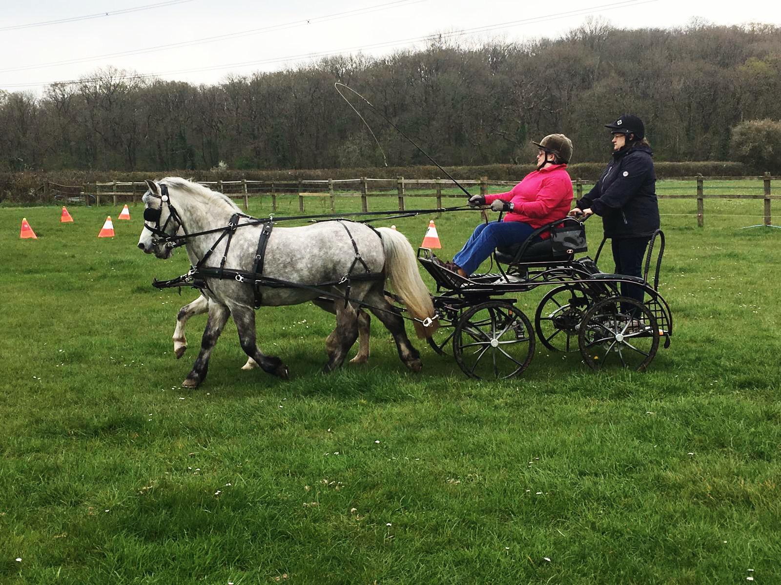 Cones Training Report – Southern Carriage Driving Club