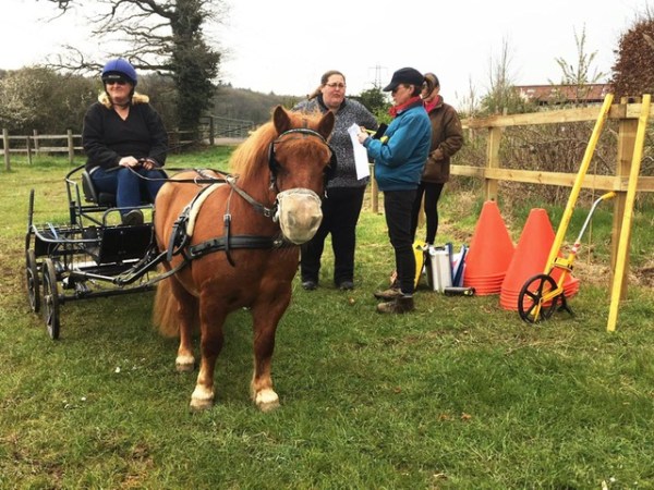 Cones Training Report – Southern Carriage Driving Club