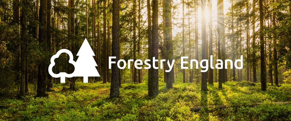 Forestry England Survey – Southern Carriage Driving Club