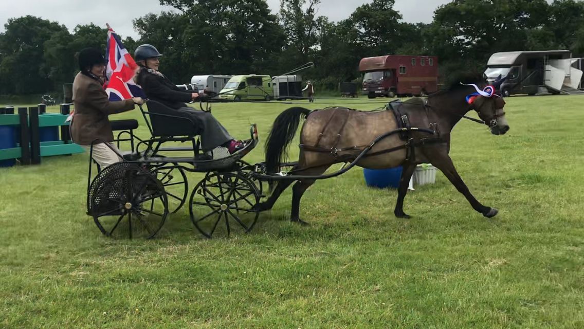 Queen’s Platinum Jubilee Drive – Southern Carriage Driving Club