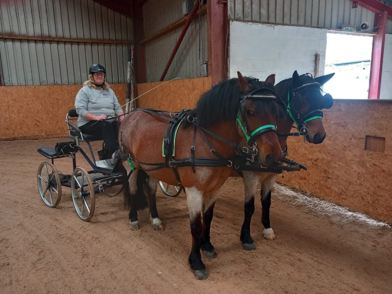 Report: May Training @ Little Park – Southern Carriage Driving Club