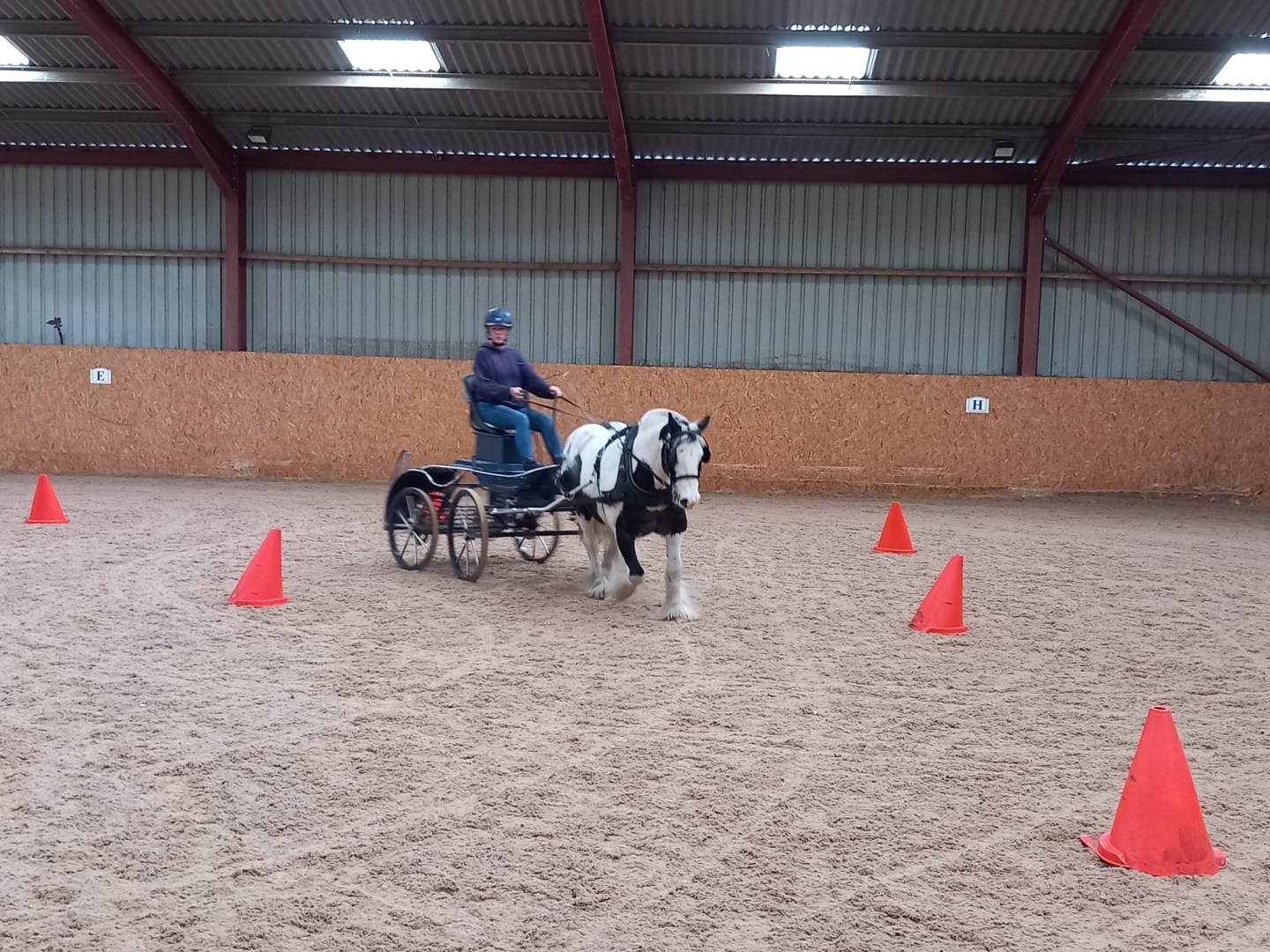 Report: May Training @ Little Park – Southern Carriage Driving Club